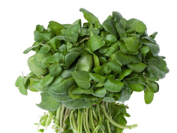 Recetas con berro - 28 recetas - Petitchef