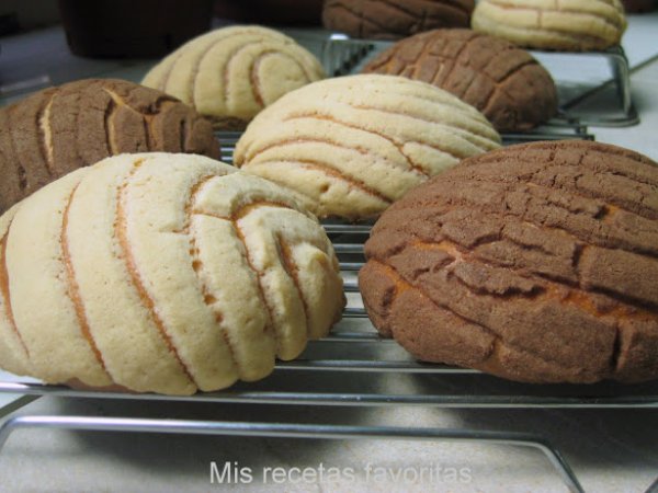 Receta de conchas, pan dulce mexicano