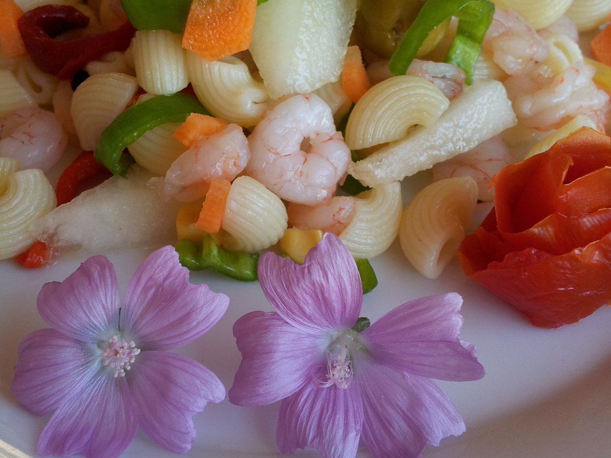 Receta de ensalada de pasta tiburón con salsa de yogur
