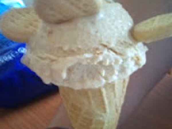 Helado de galleta maria - Receta Petitchef