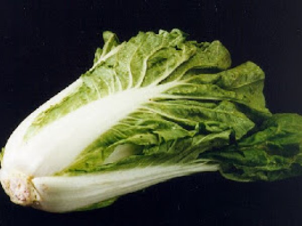 Receta de lechuga china (wosum)