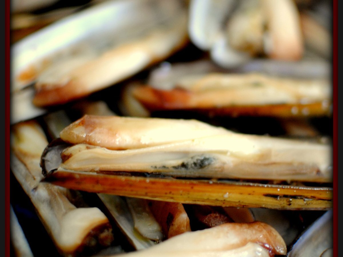 Navajas a la plancha - Receta Petitchef