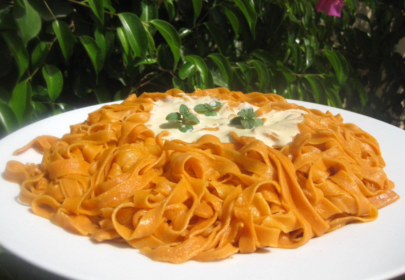 Receta de pasta fresca casera de tomate fácil